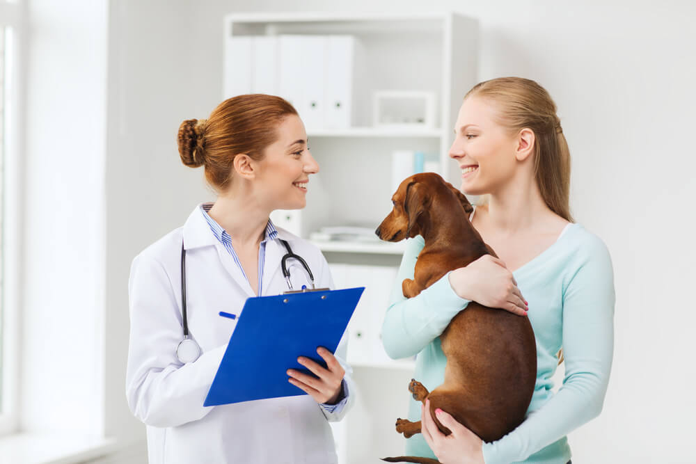 How Digital Queuing Systems Improve the Customer Experience at Vets How Digital Queuing Systems Improve the Customer Experience at Vets
